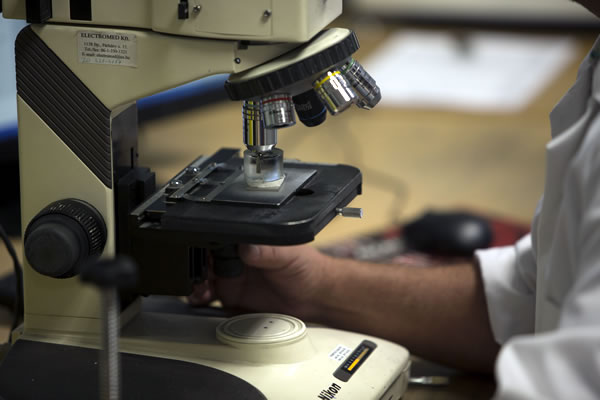 Coating Metallurgical Laboratory - Flame Spray