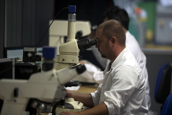 Coating Metallurgical Laboratory - Flame Spray